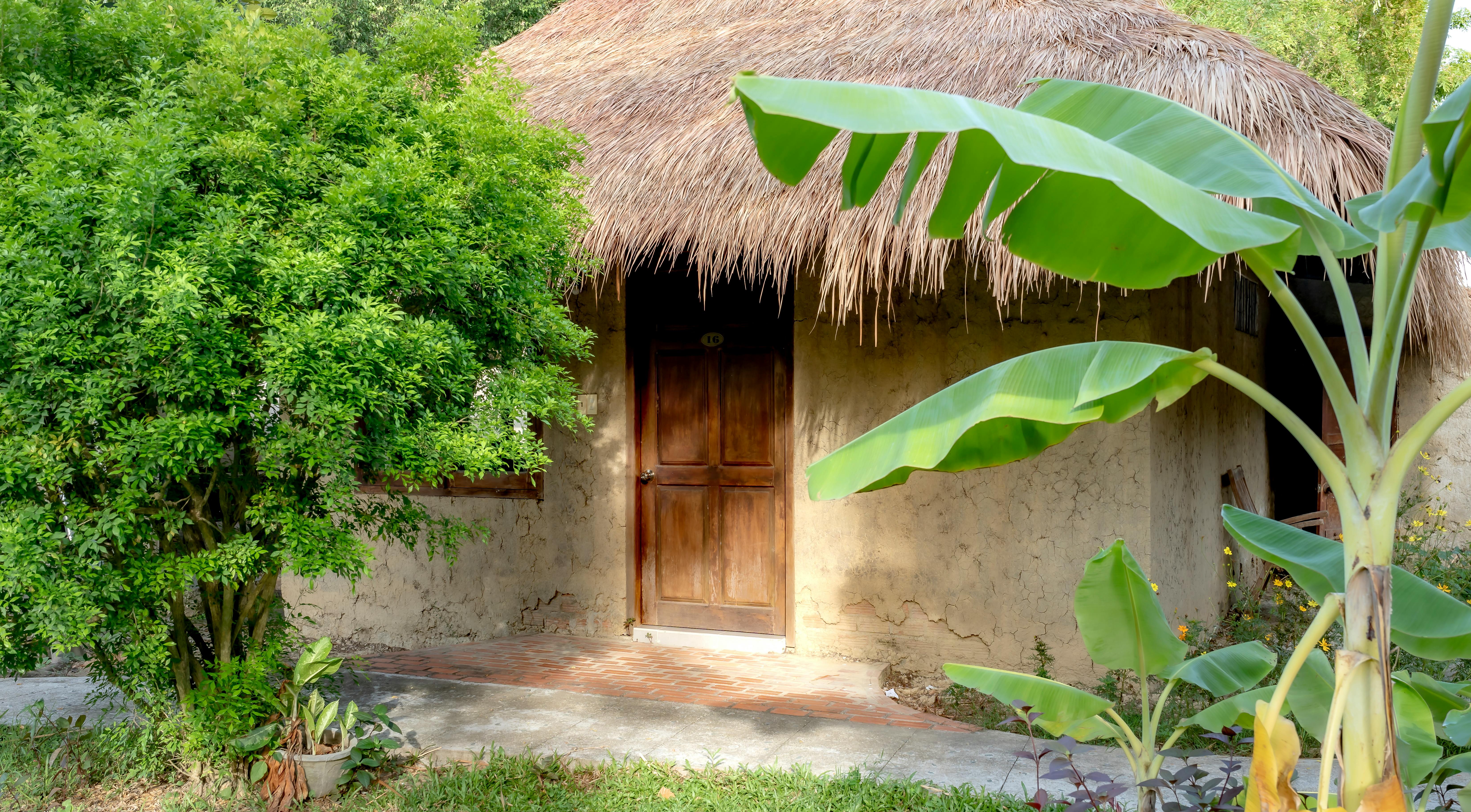 Mud and Bamboo Architecture: Benefits and Methods | ArchitectureCourses.org