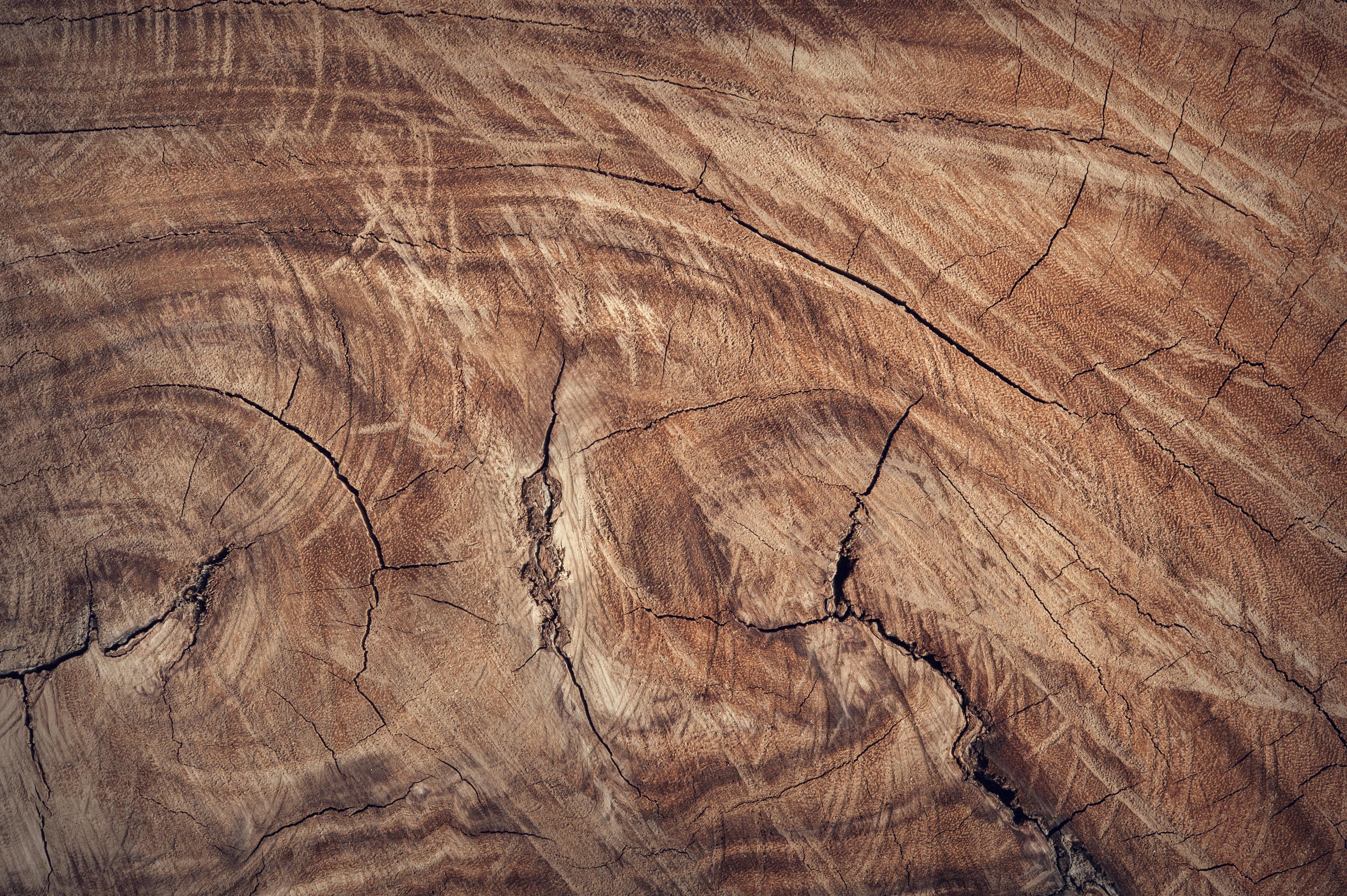 Wood Mastery: An In-Depth Course on Types, Applications, and Advantages ...