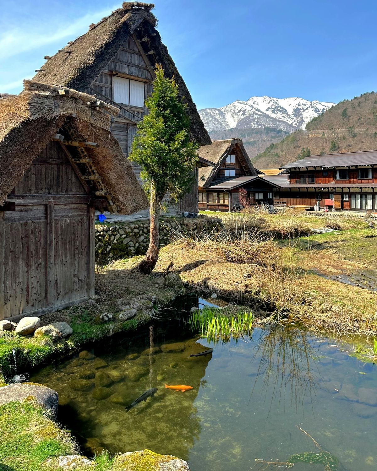 How Long Do Japanese Houses Last